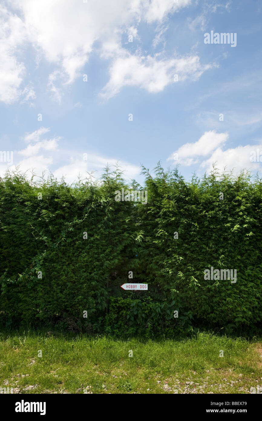 Sign in a hedge Stock Photo - Alamy