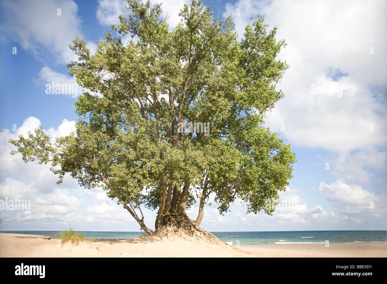 Warren dunes state park hi-res stock photography and images - Alamy