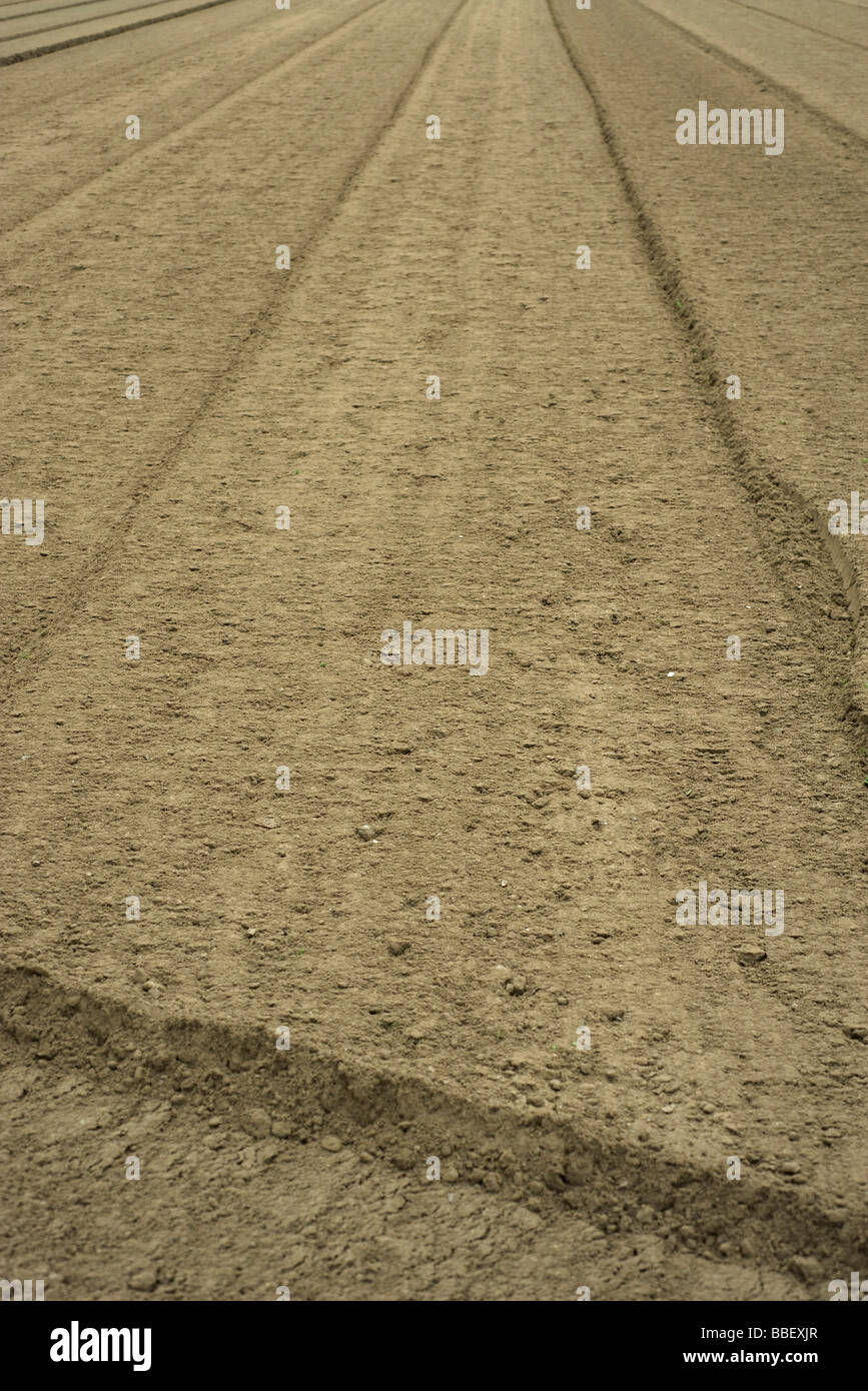 Ploughed field overhead hi-res stock photography and images - Alamy