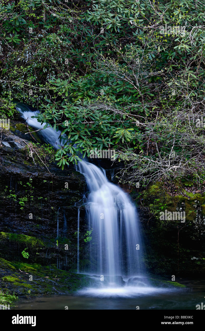 Small Waterfall Cascading into the Little River in the Great Smoky ...