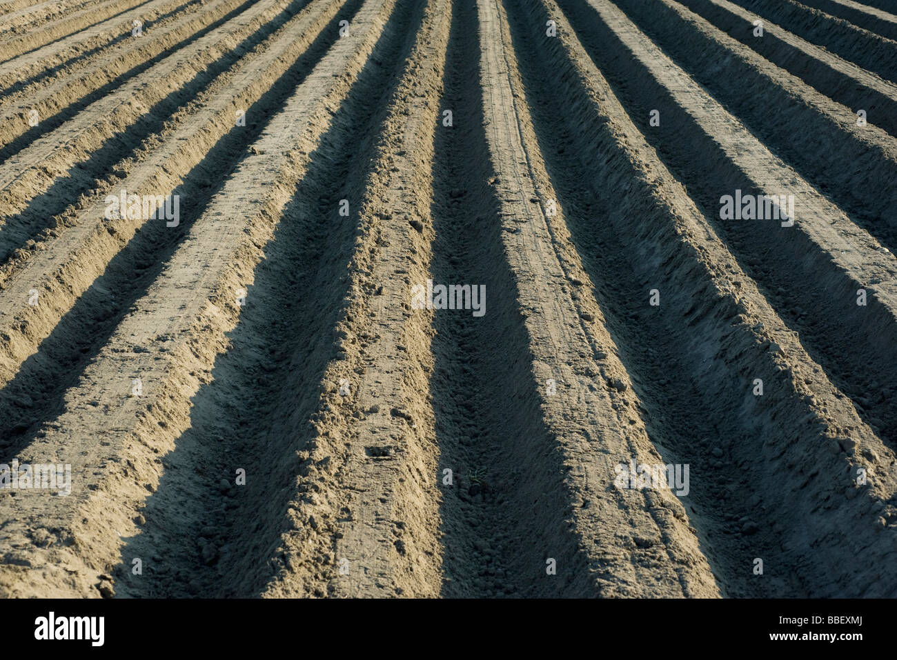 Plowed field images hi-res stock photography and images - Alamy