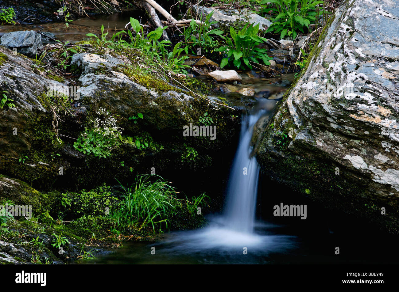 Cascade on the Little River in the Great Smoky Mountains National Park ...
