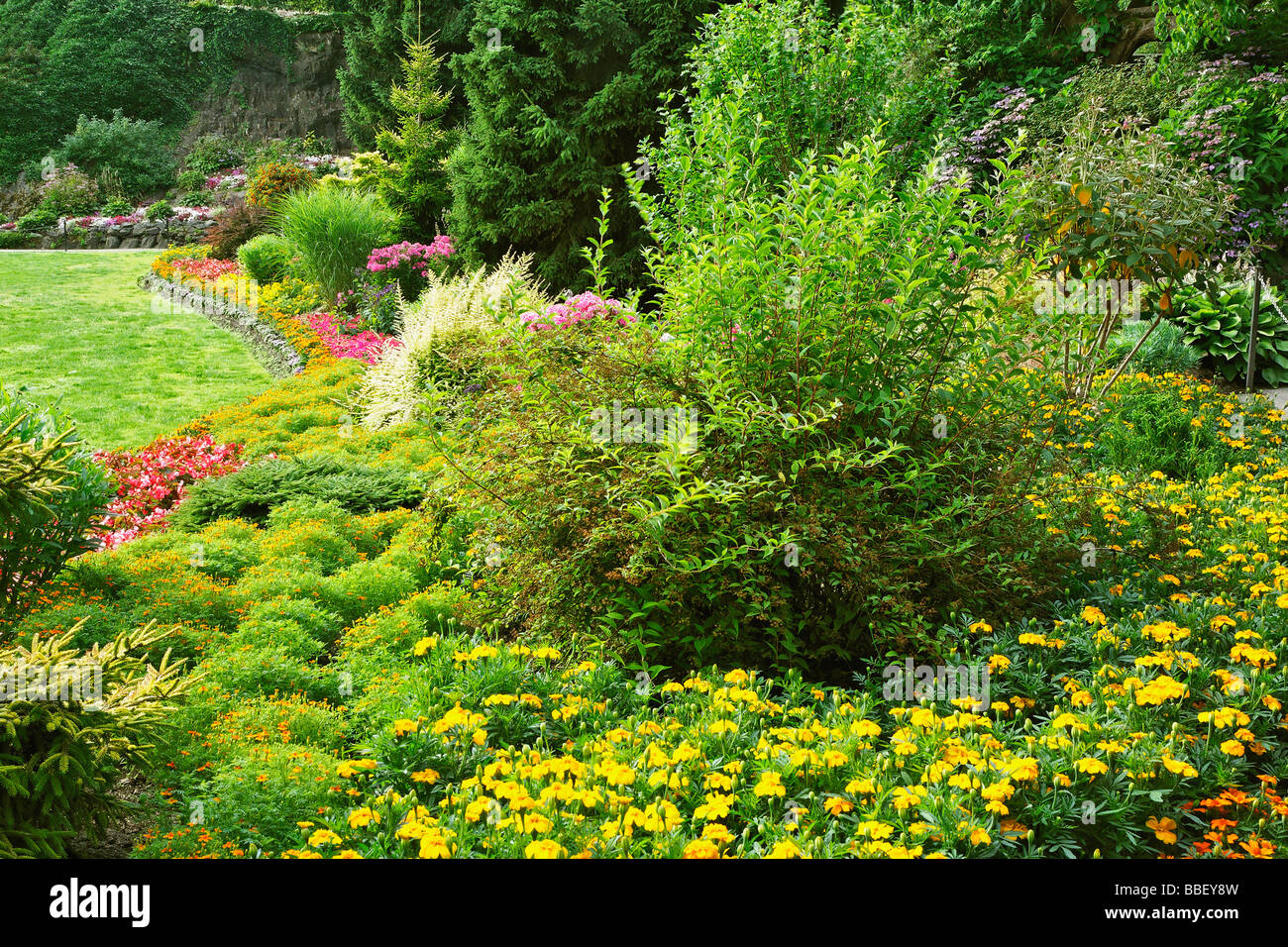 Queen elizabeth quarry gardens hi-res stock photography and images - Alamy