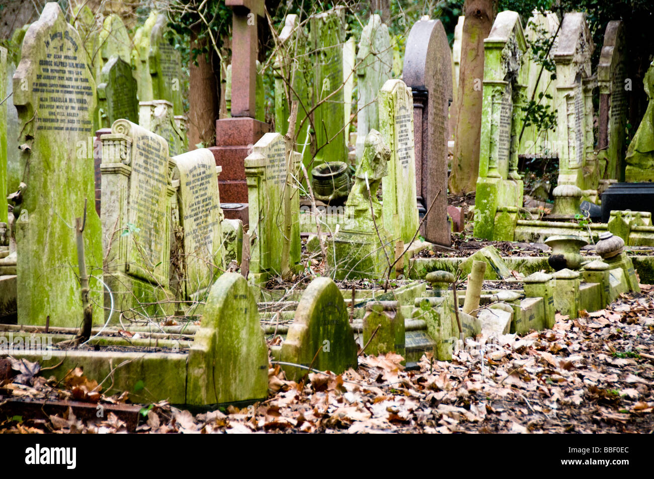 Tower hamlets cemetery park hi-res stock photography and images - Alamy