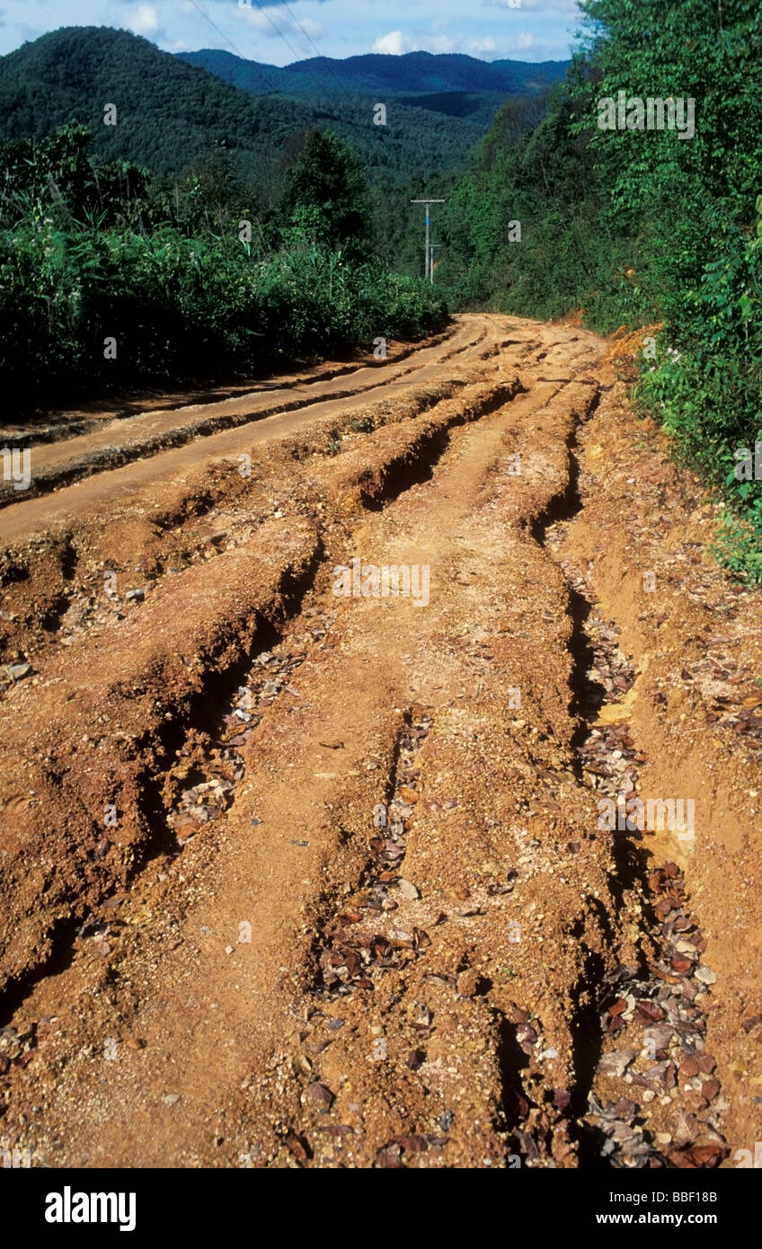 Mud road in rural Thailand Stock Photo - Alamy