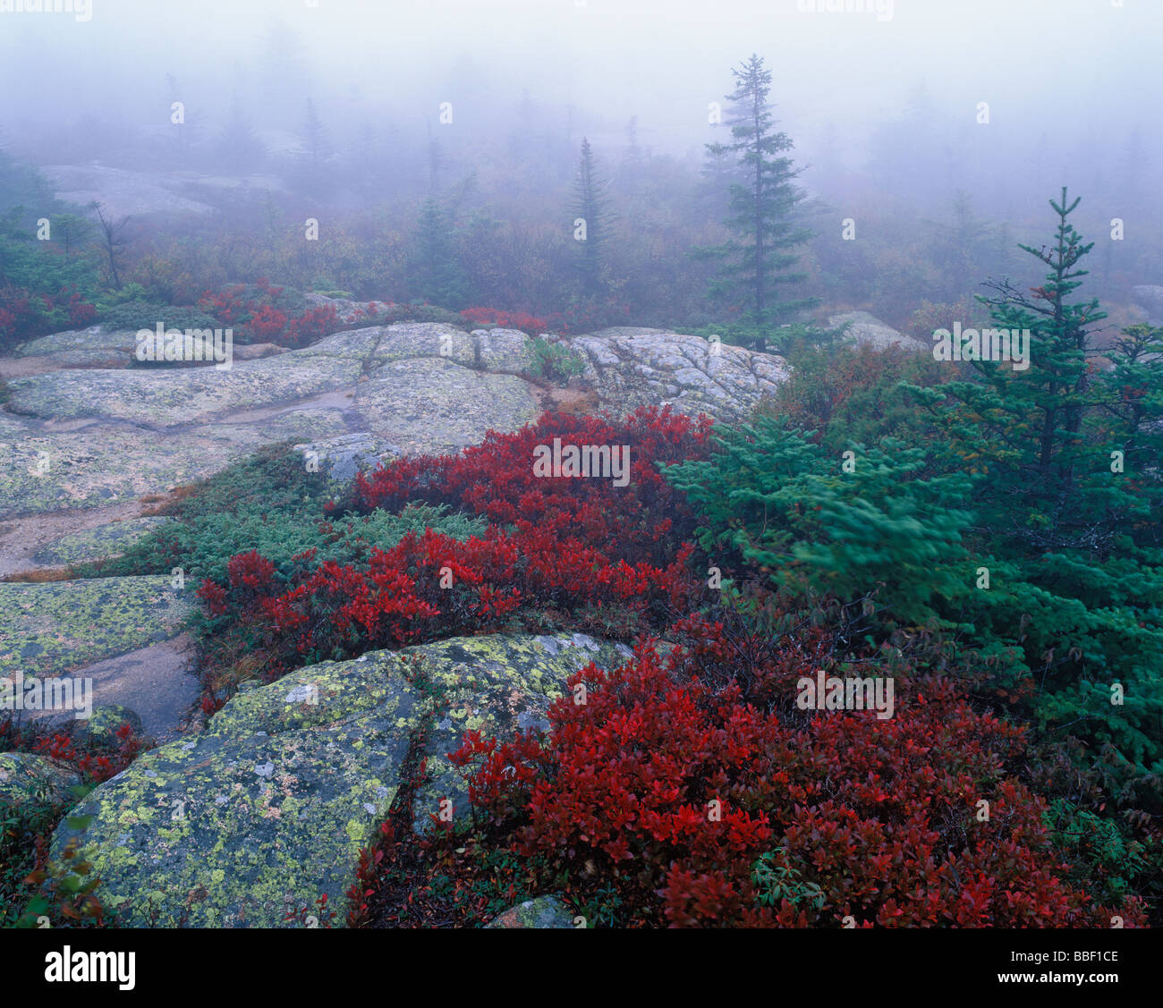 Fog cadillac mountain in acadia hi-res stock photography and images - Alamy