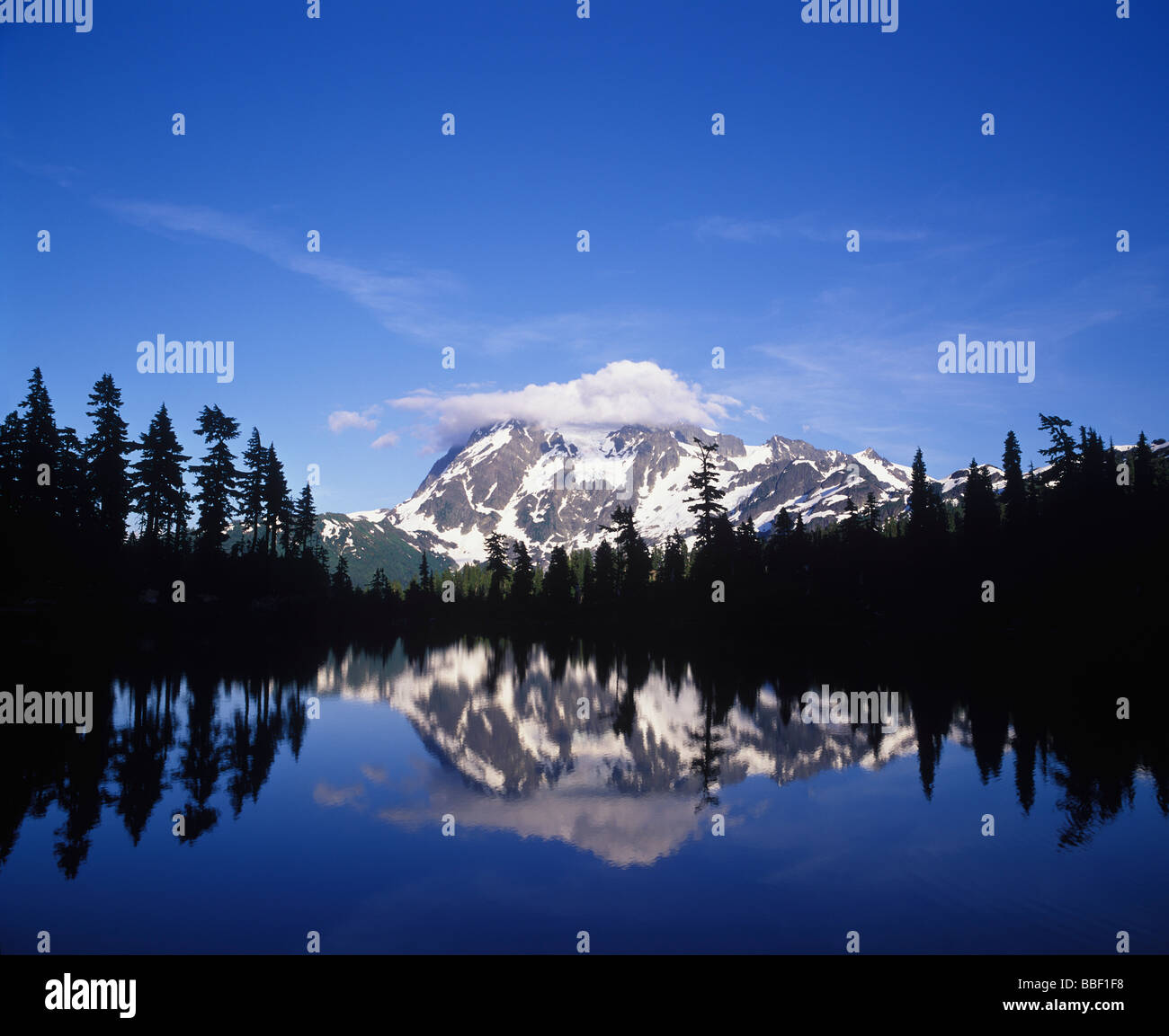 Mt washington treeline hi-res stock photography and images - Alamy