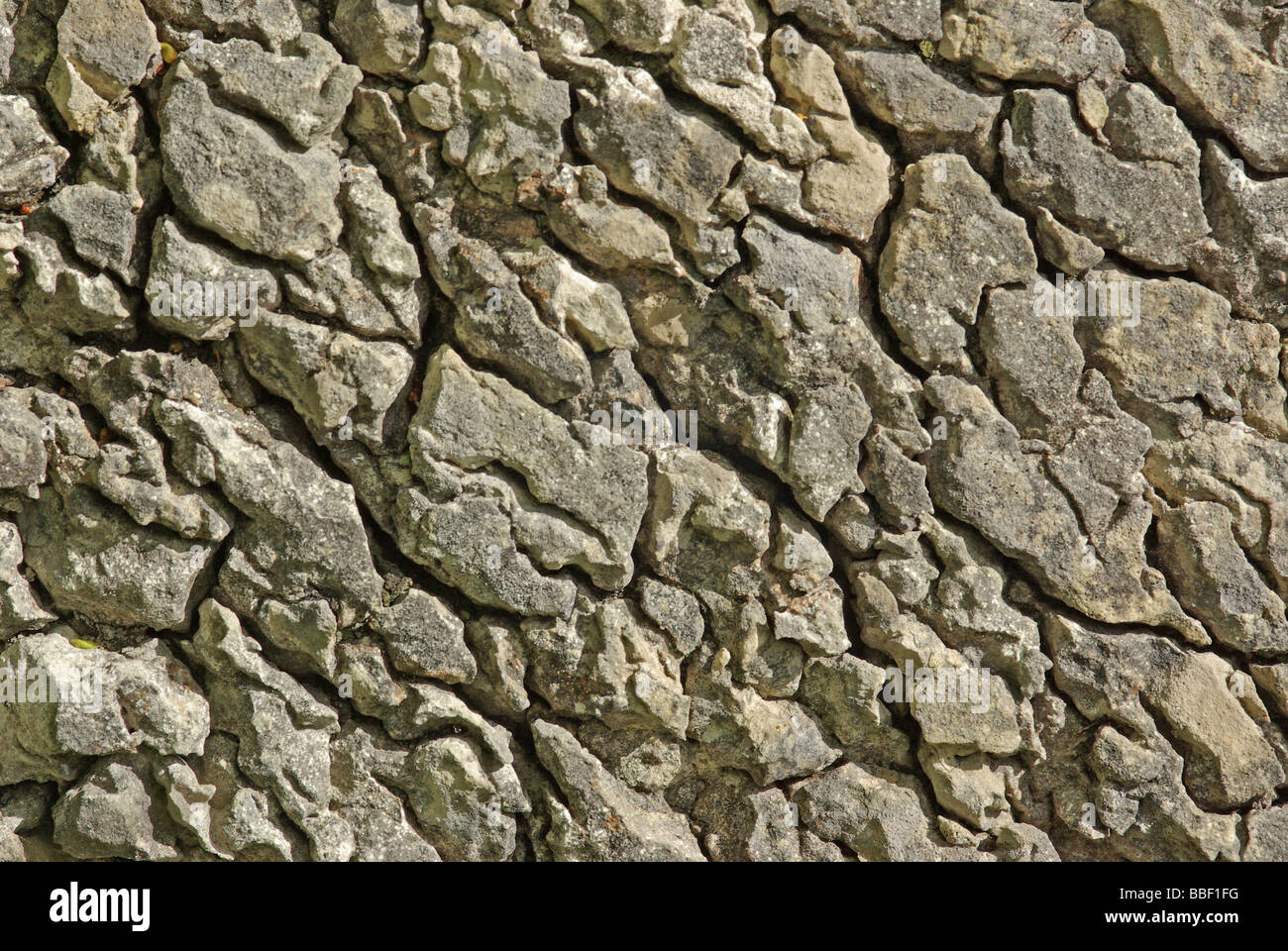 Carboniferous limestone hi-res stock photography and images - Alamy