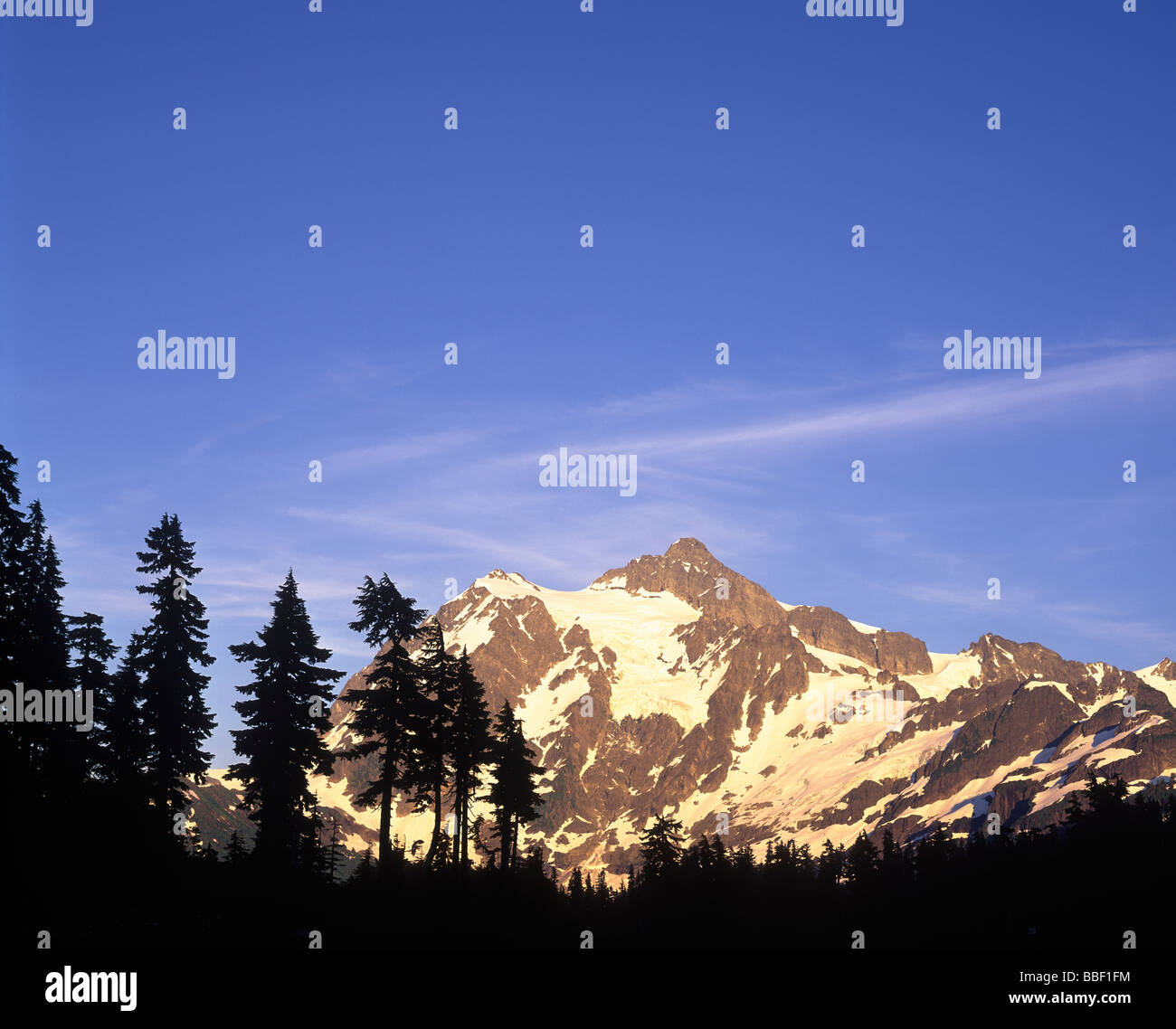 Mt washington treeline hi-res stock photography and images - Alamy