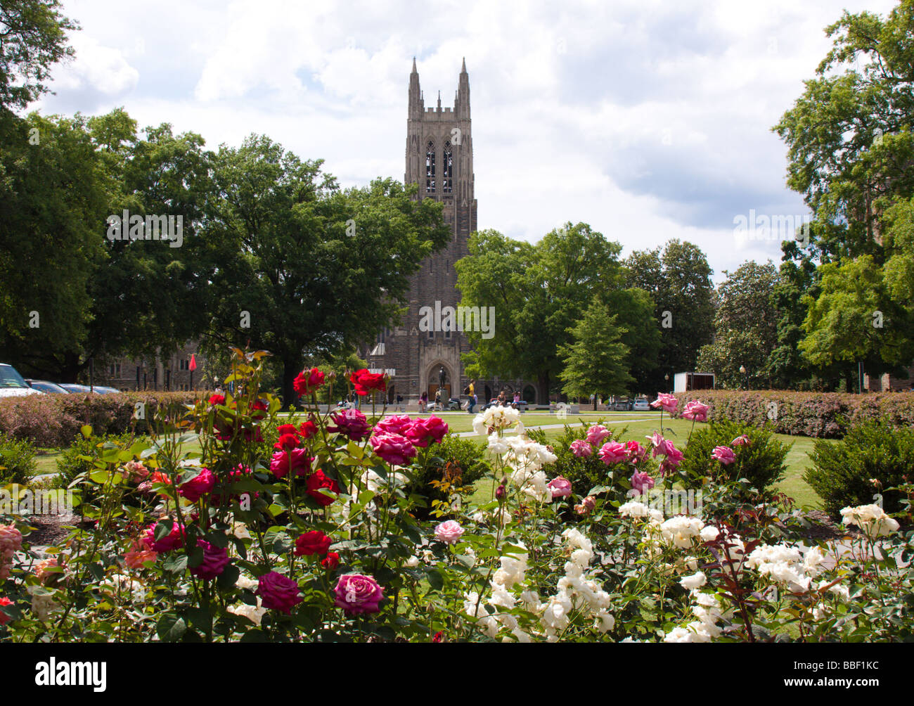 Duke university hi-res stock photography and images - Alamy
