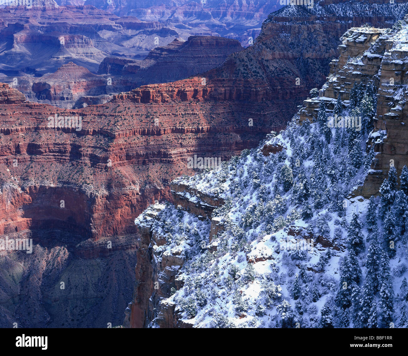 Snow cover on Canyon rim at mather Point in Grand Canyon National park ...
