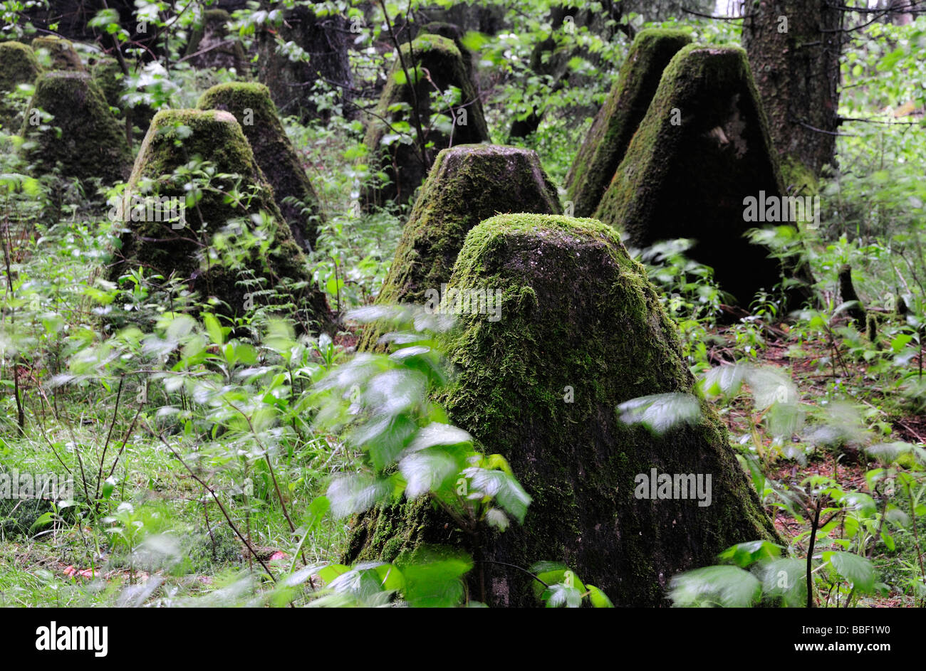 Dragon's teeth tank obstacles in German Siegfried Line, Hollerath ...