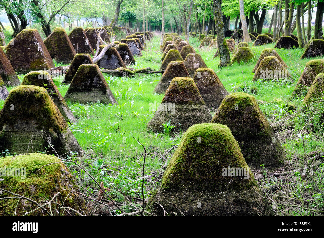 Dragon's teeth tank obstacles in German Siegfried Line, Hollerath ...