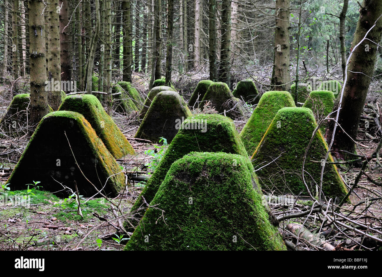 Dragon's teeth tank obstacles in German Siegfried Line, Hollerath ...