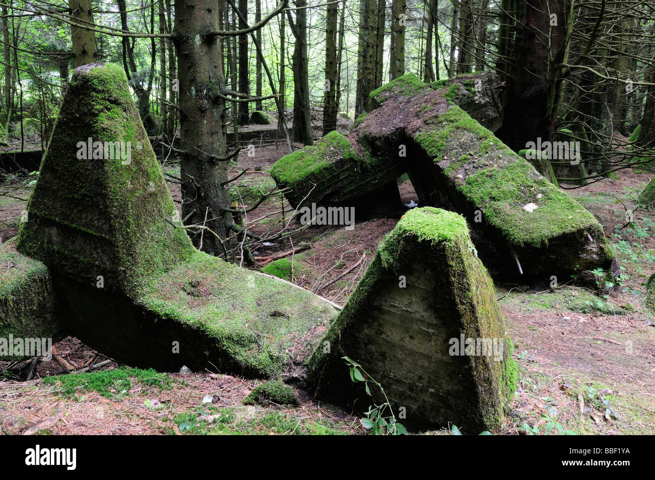 Dragon's teeth tank obstacles in German Siegfried Line, Hollerath ...