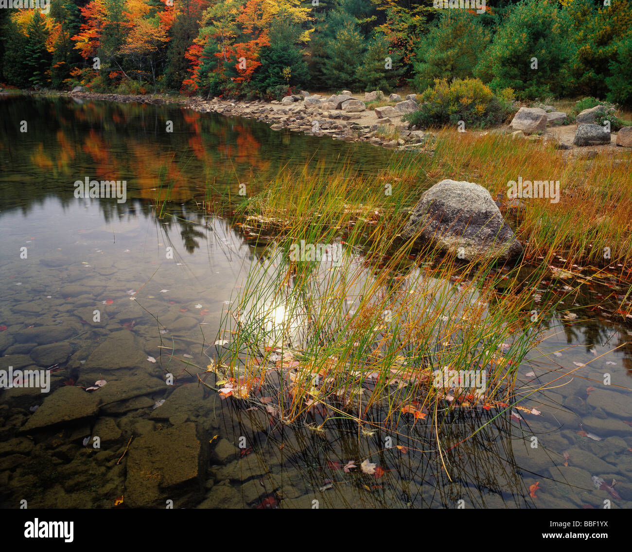 Autumn color surrounds Bubble Pond on Mount Desert Island in Acadia ...
