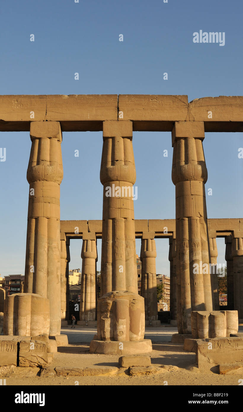 Architrave and Capitals of Closed Papyriform Papyrus Columns Great Sun ...