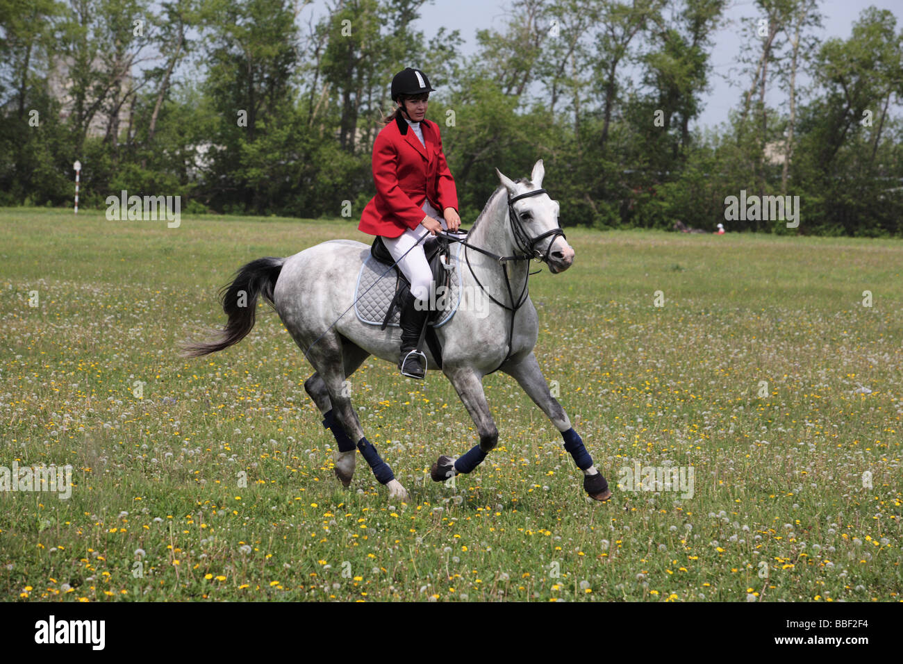 Girl riding horse in field Stock Photo - Alamy