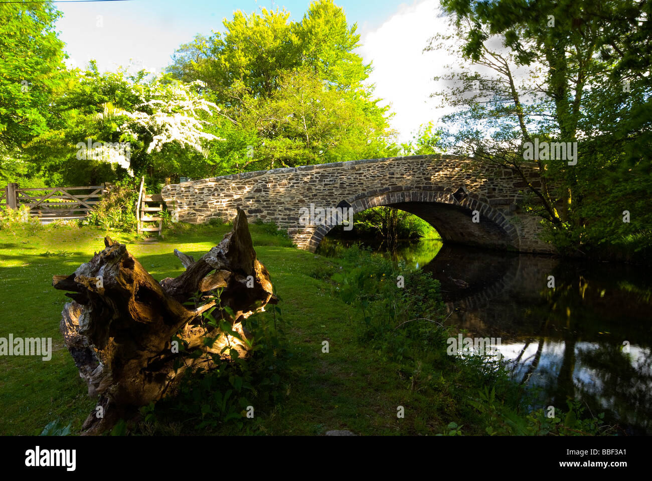 Meavy devon hi-res stock photography and images - Alamy