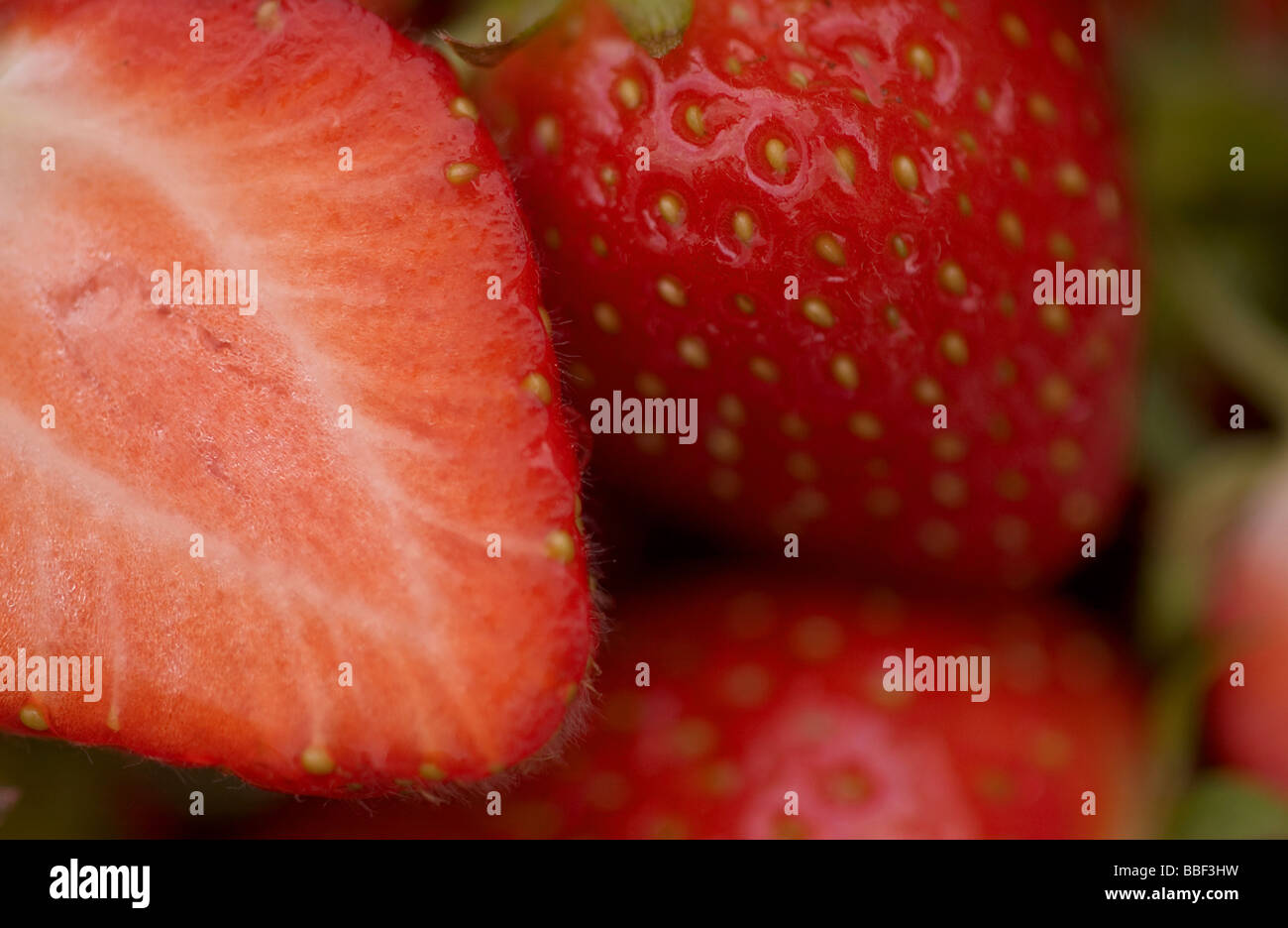 Strawberries while with fruit skin detail hi-res stock photography and ...