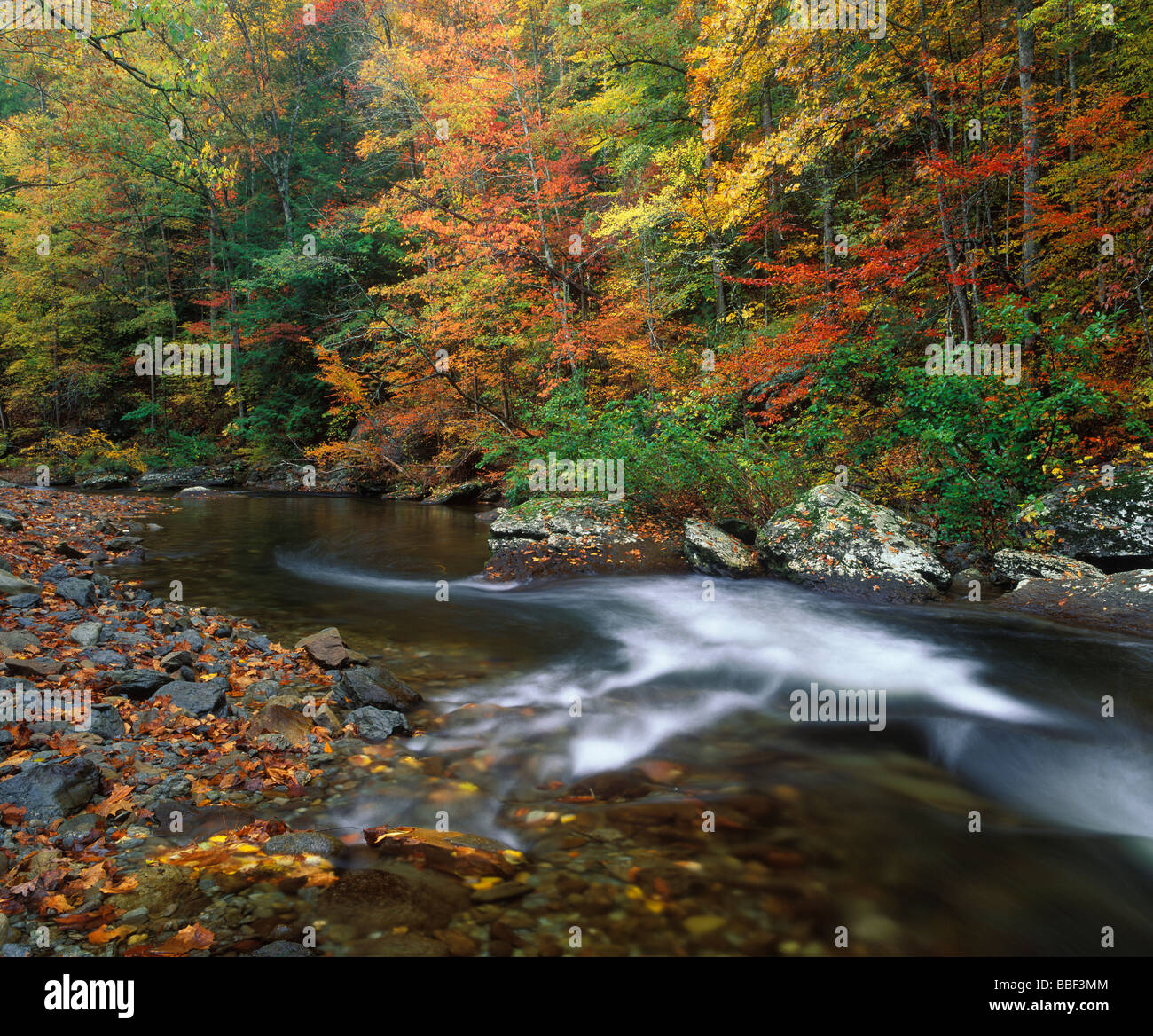 Cascade along little river in hi-res stock photography and images - Alamy
