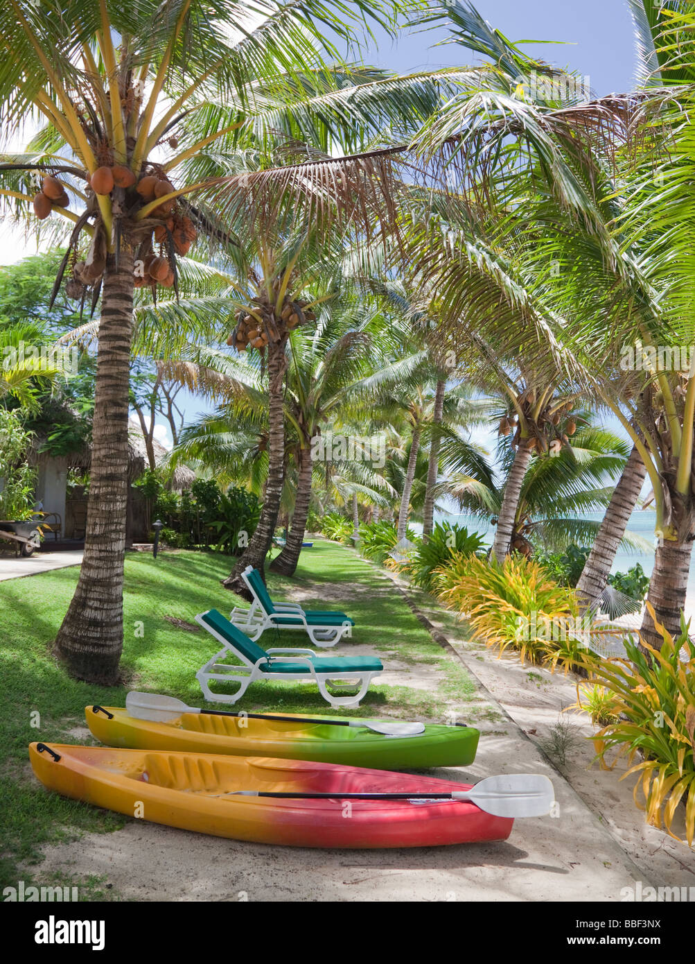 Tropical Beach with Palm Trees, Lounge Chairs and Sea Kayaks ...