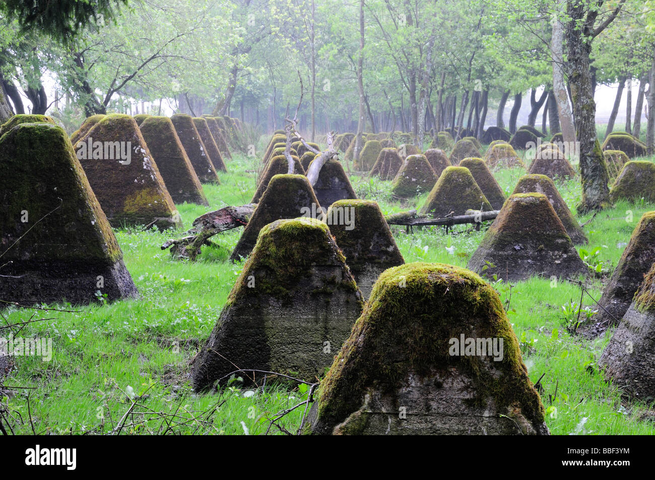 Dragon's teeth tank obstacles in German Siegfried Line, Hollerath ...