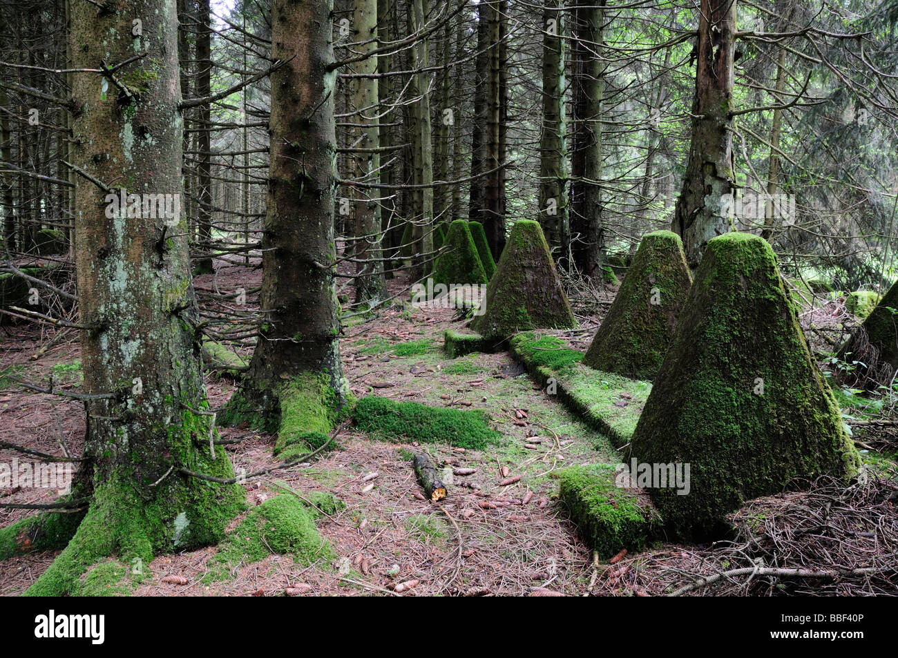 Dragon's teeth tank obstacles in German Siegfried Line, Hollerath ...