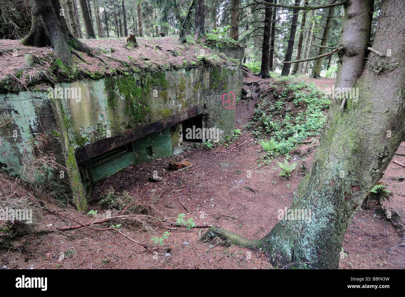 Siegfried Line German bunker in Huertgenwald Forest, Germany Stock ...