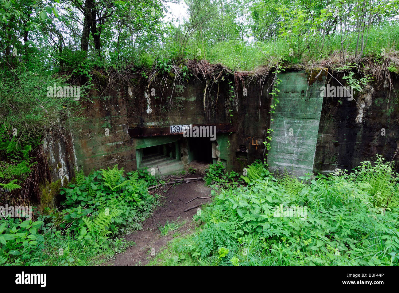Siegfried Line German bunker in Huertgenwald Forest, Germany Stock ...