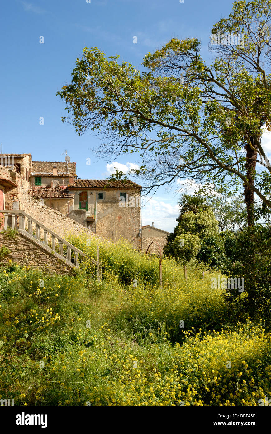 Tuscany (Toscana) Italy - buildings with bushes surround while view of ...