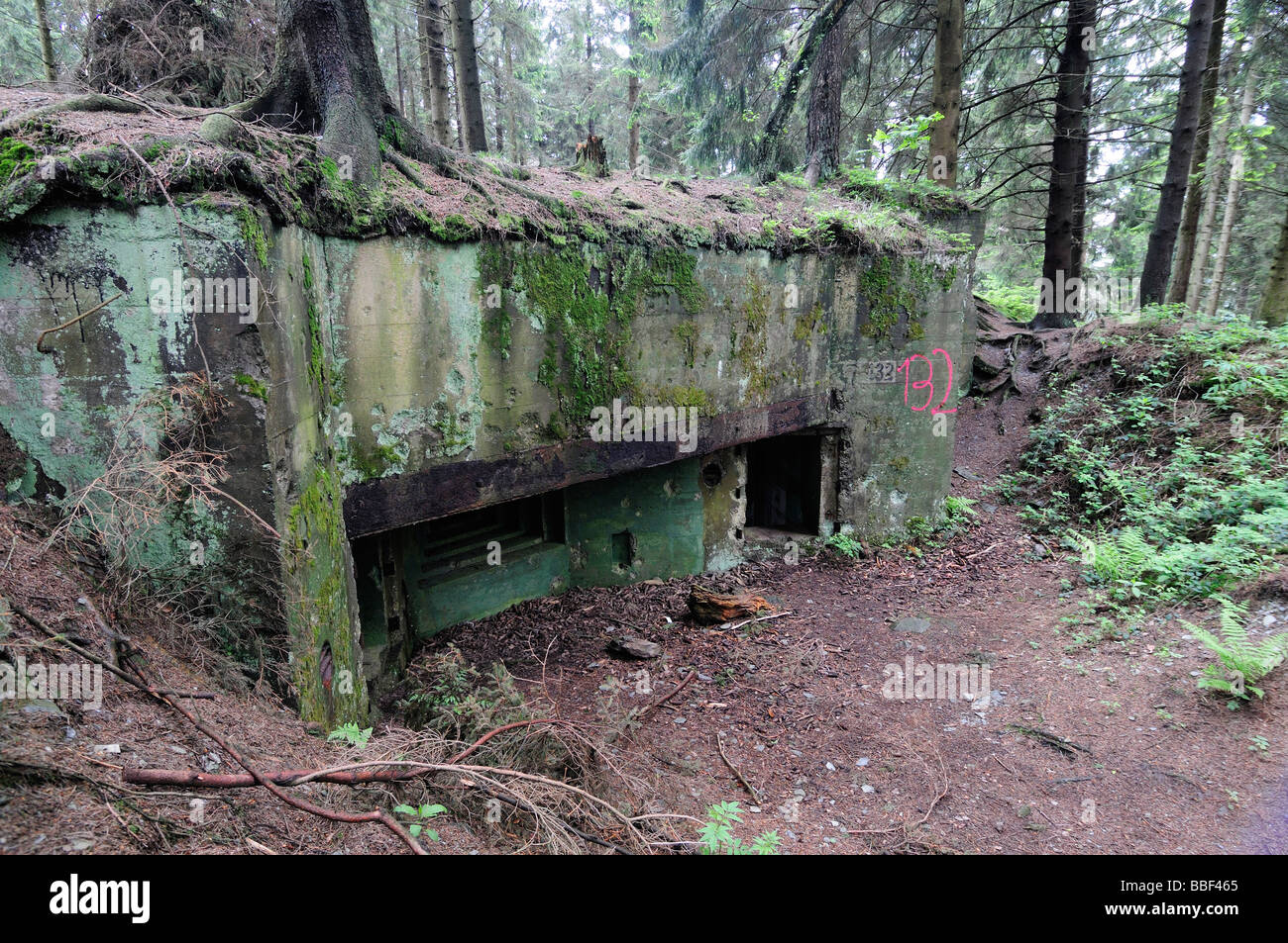 Siegfried Line German bunker in Huertgenwald Forest, Germany Stock ...
