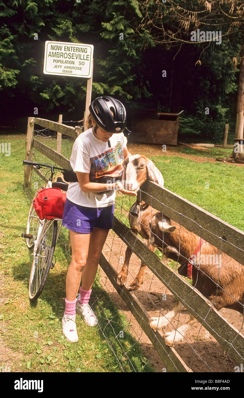 Goat on bike hi-res stock photography and images - Alamy