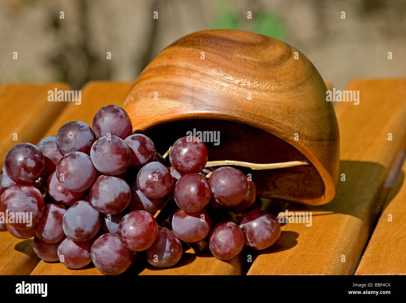 Table grapes vitis vinifera hi-res stock photography and images - Alamy