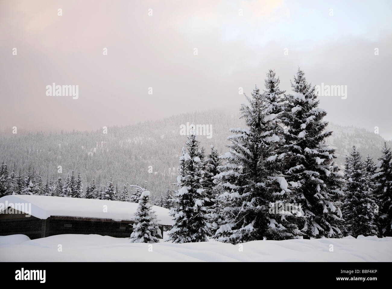 British Columbia, Canada; Snow-covered rest stop Stock Photo - Alamy