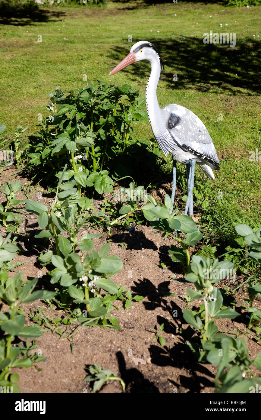 Plastic heron used a scare-crow in vegetable garden Stock Photo - Alamy
