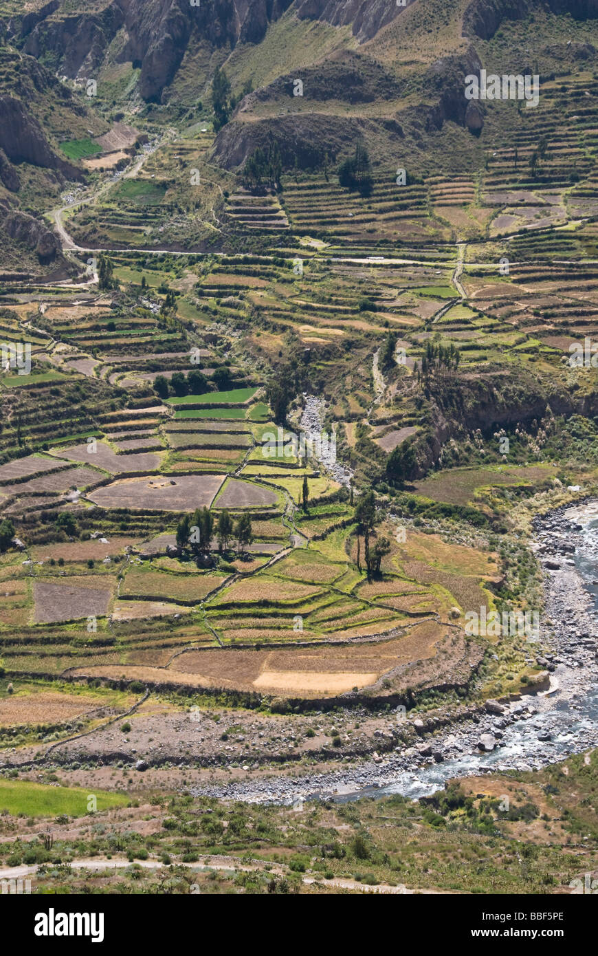 Peru colca hi-res stock photography and images - Alamy