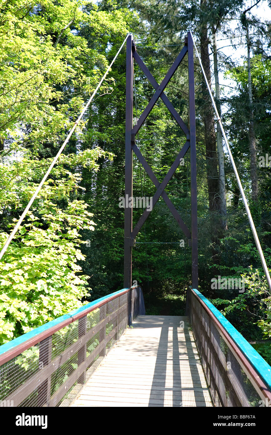 Inverted Bowstring Bridge River Roe Limavady County Londonderry ...