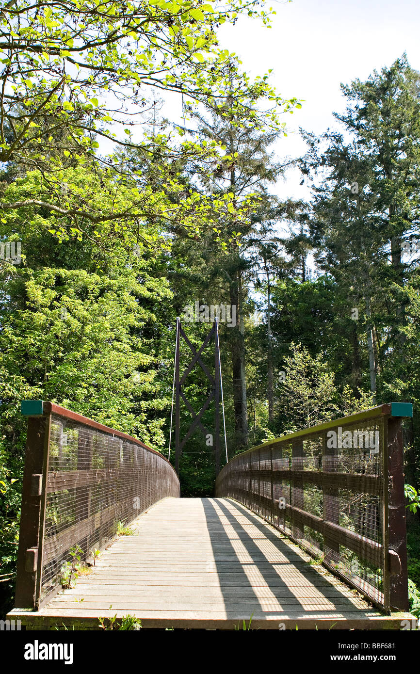 Inverted bowstring hi-res stock photography and images - Alamy