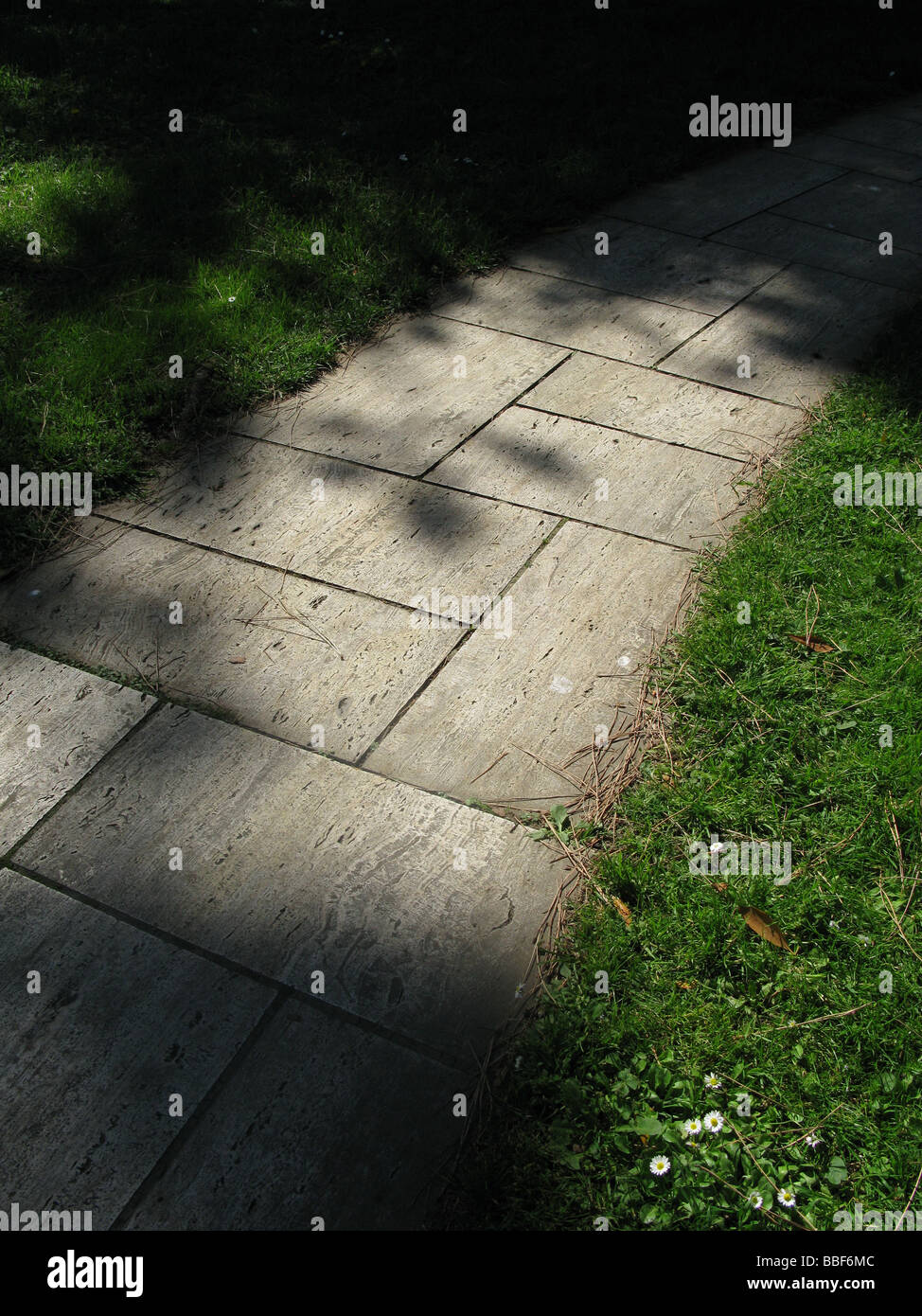 empty walk way foot path in park in country Stock Photo - Alamy