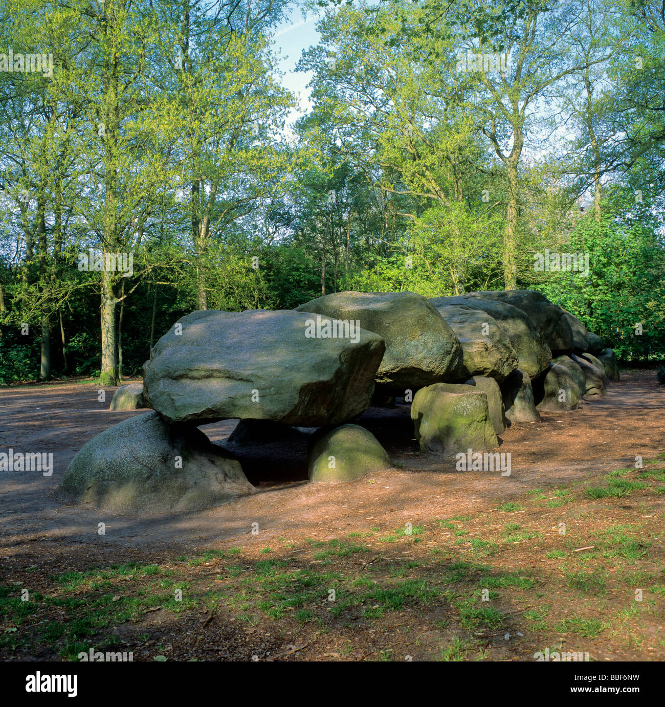 dolmen megalithic tomb near town of borger holland Stock Photo - Alamy
