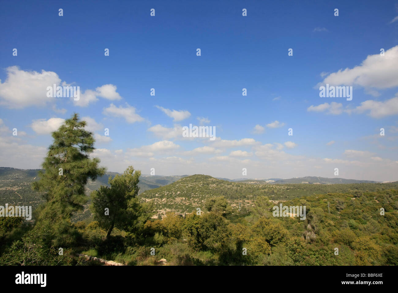 Israel Jerusalem Mountains a view from Road 3866 Stock Photo - Alamy