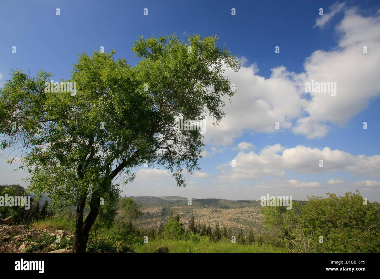 Israel Jerusalem Mountains a view from Road 3866 Stock Photo - Alamy