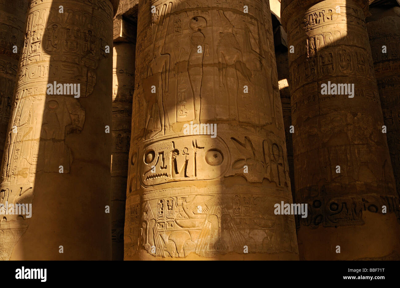 Colossal Papyrus Columns of Great Hypostyle Hall Precinct of Amun Re ...