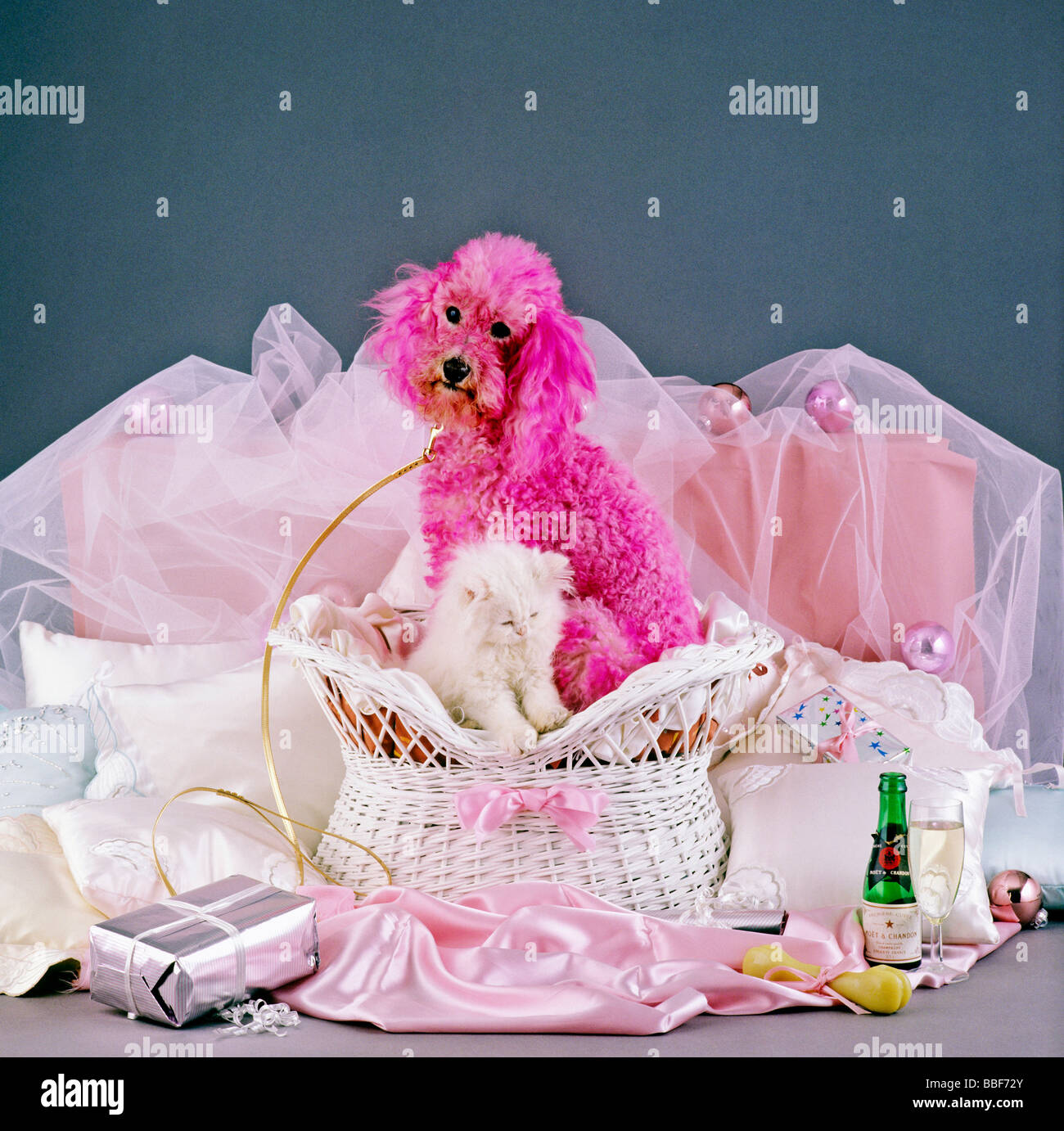 Rosa accessoire hi-res stock photography and images - Alamy