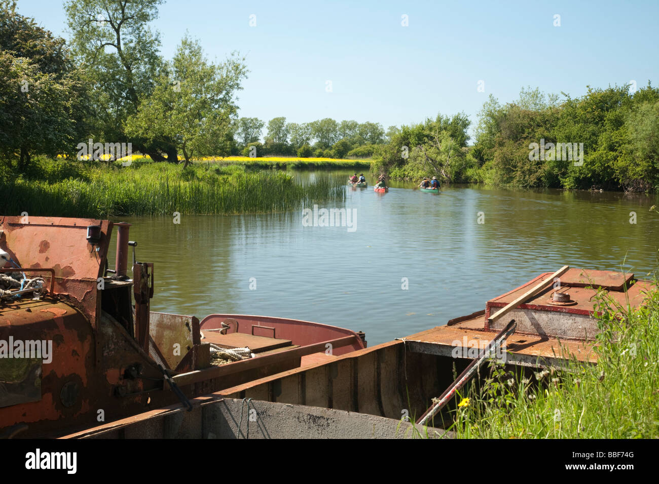 Canoeists on the River Thames upstream of Oxford Uk Stock Photo - Alamy