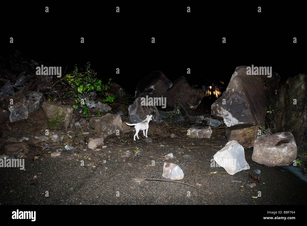 Ancient rockfall hi-res stock photography and images - Alamy