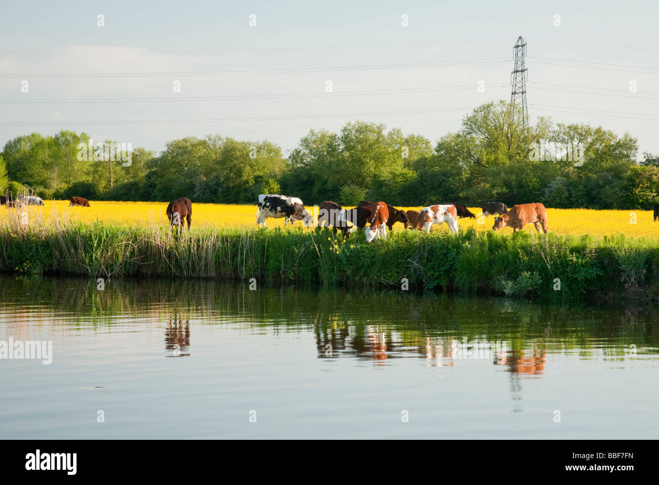 Oxfordshire landscape hi-res stock photography and images - Alamy