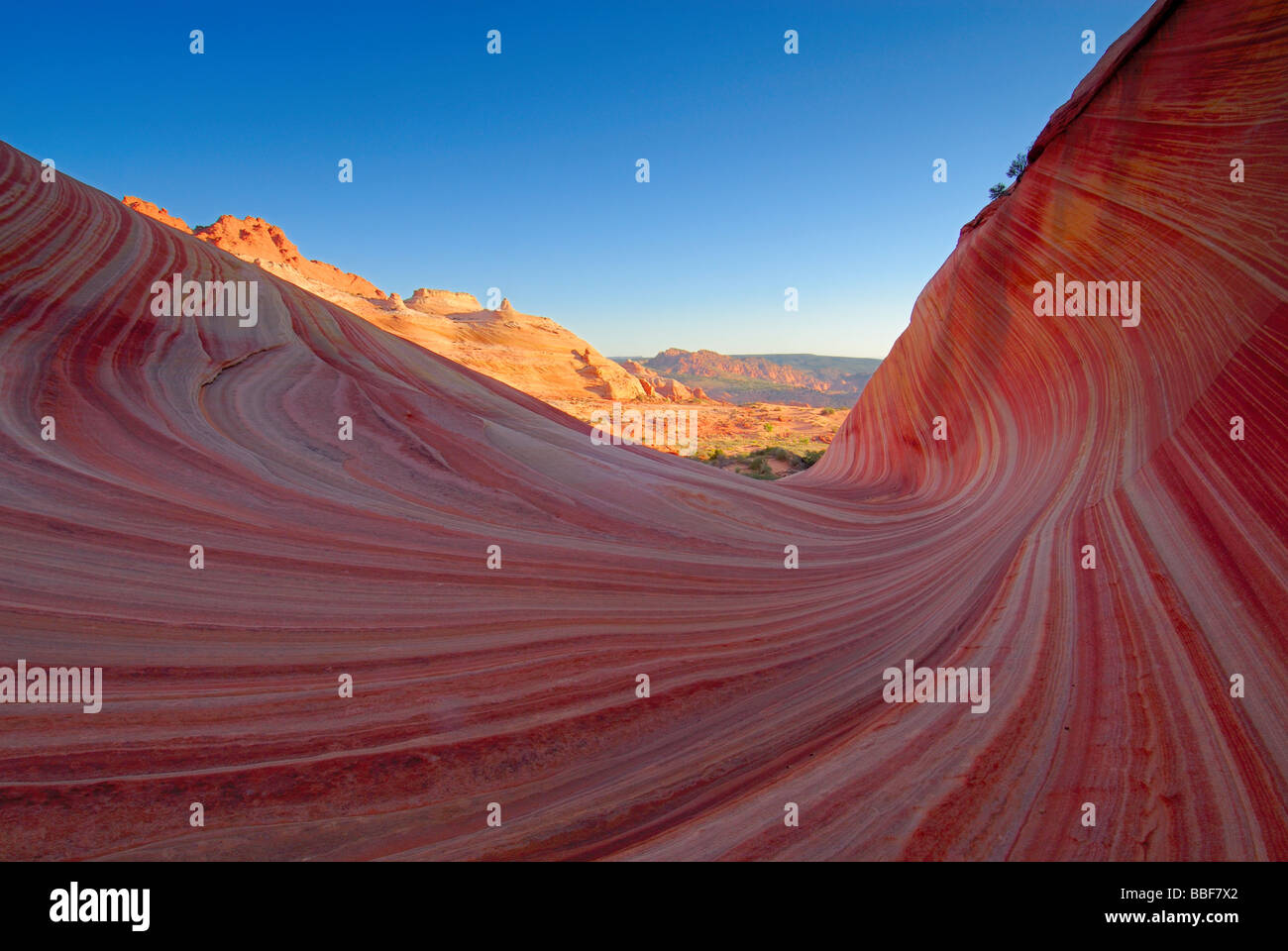 The Wave North Coyote Buttes AZ Stock Photo - Alamy