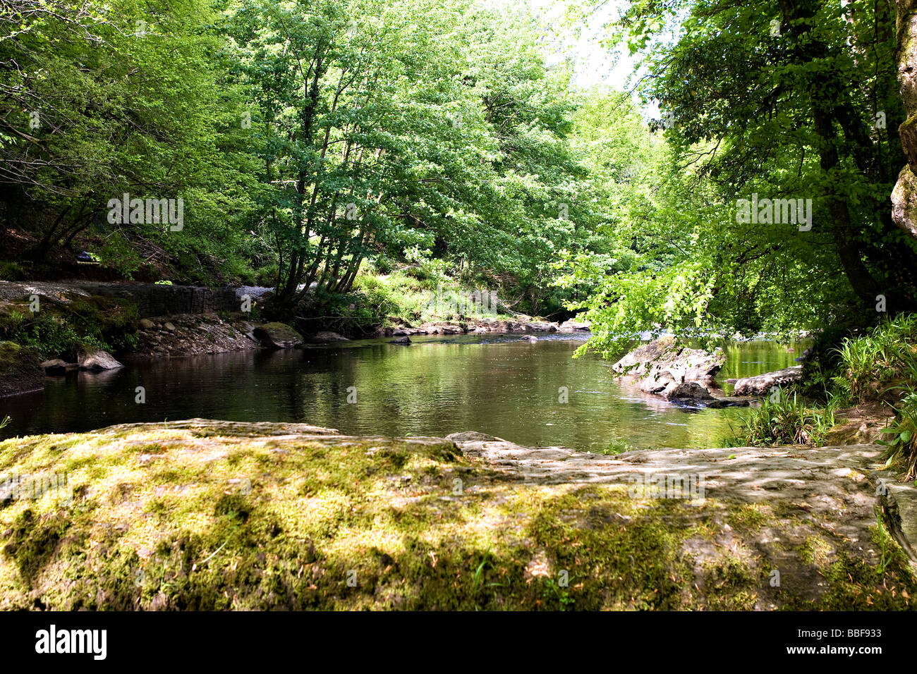 River Roe Roe Valley Country Park County Londonderry Northern Ireland ...